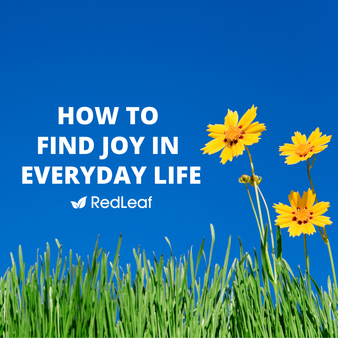 How To Find Joy In Everyday Life - Red Leaf Nutrition